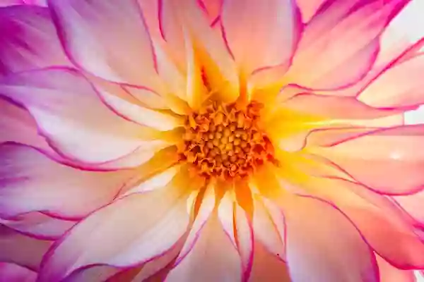 Êxodo 29:32 — E Arão e seus filhos comerão a carne do carneiro, e o pão ...